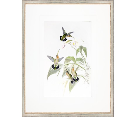 Vintage - The Leonard Collection